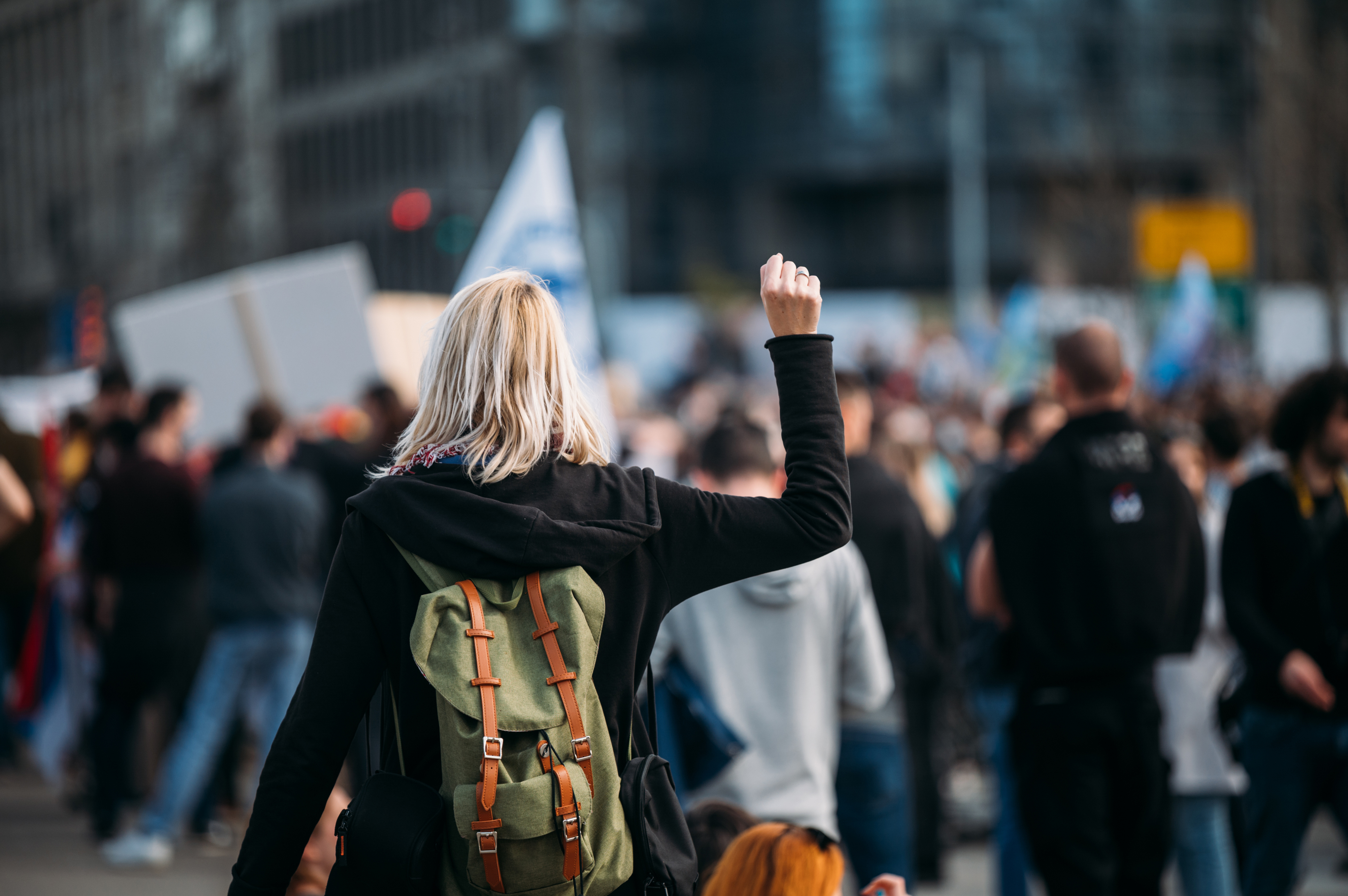 Policing During a Public Demonstration
