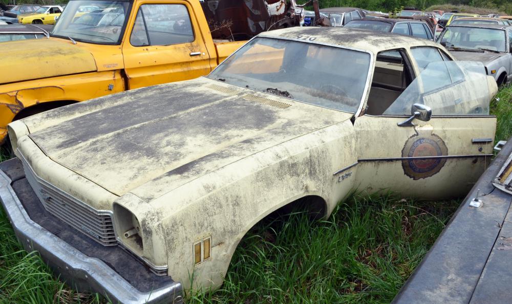 Big Yellow Police Car